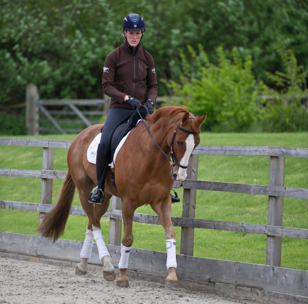 How does a horse trot? H&H's essential guide to the diagonal pace