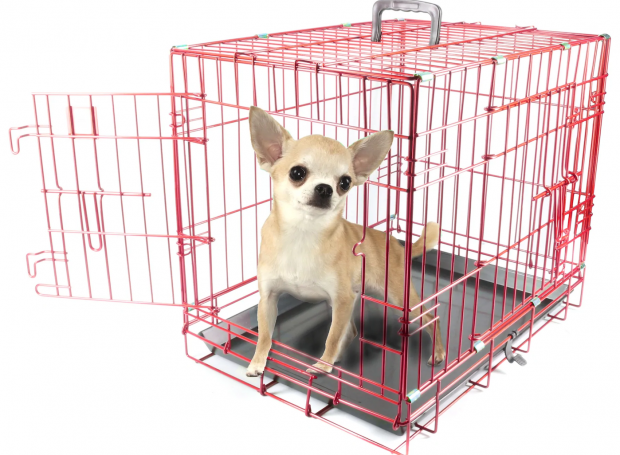 Best dog crates to keep your dog safe at home and in the car