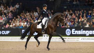 James Rushbrooke: ‘Badminton was a childhood dream’