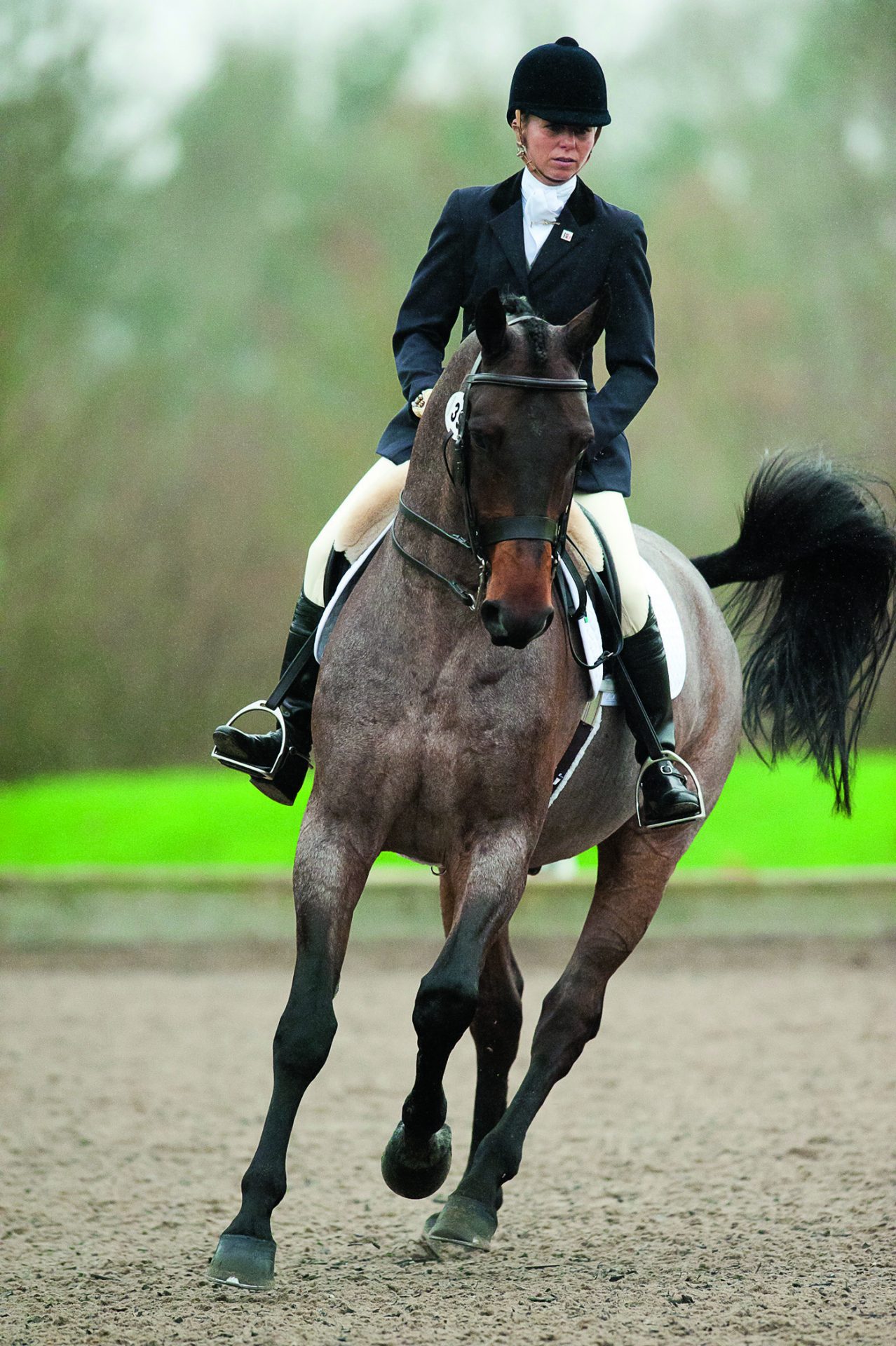 Grand prix horses then and now: today’s stars as they started out