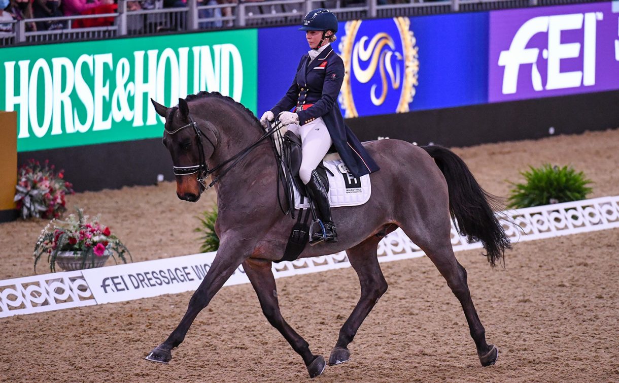 Grand prix horses then and now: today’s stars as they started out