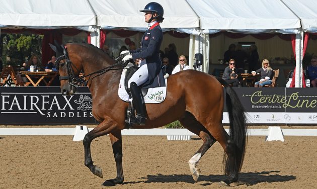 Grand prix horses then and now: today’s stars as they started out