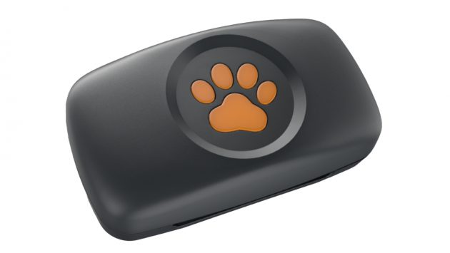 Best GPS trackers for dogs to keep tabs on your pooch | Horse & Hound