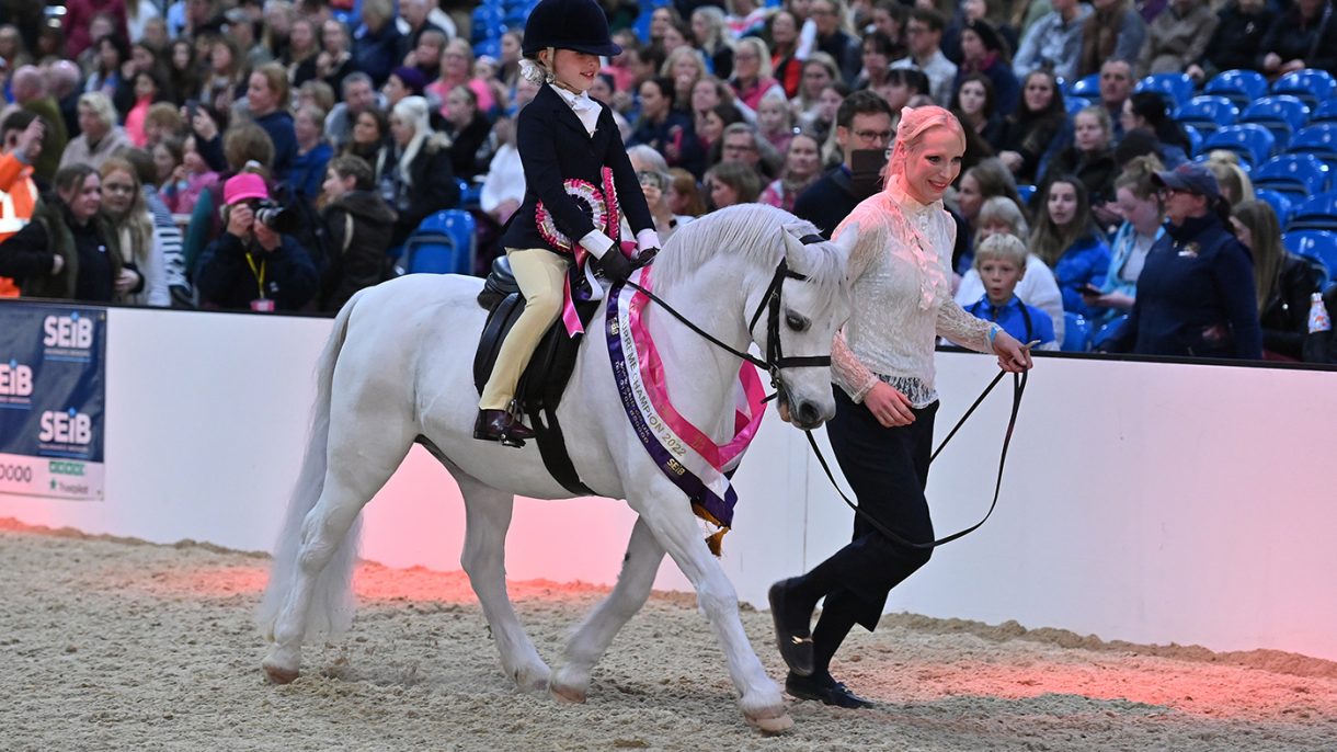 Think you could pass your Pony Club ‘C’ test? Take this quiz to find ...