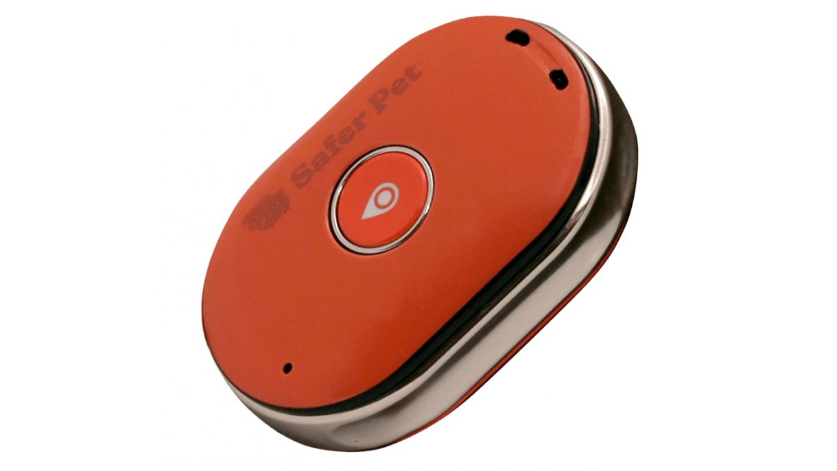 Best GPS trackers for dogs to keep tabs on your pooch | Horse & Hound