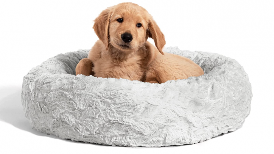 Best dog beds: for comfort, cosiness, toughness and style