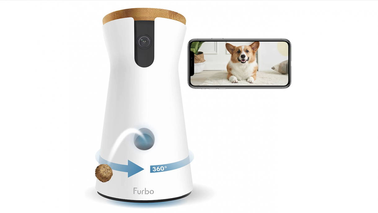 Best pet cameras to check on your pooch from a distance