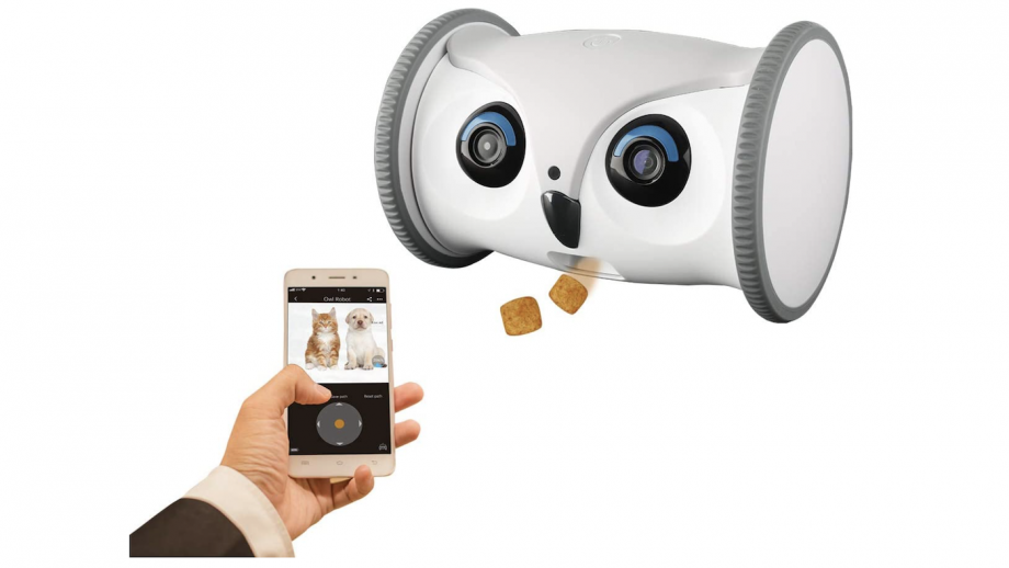 Best pet cameras to check on your pooch from a distance