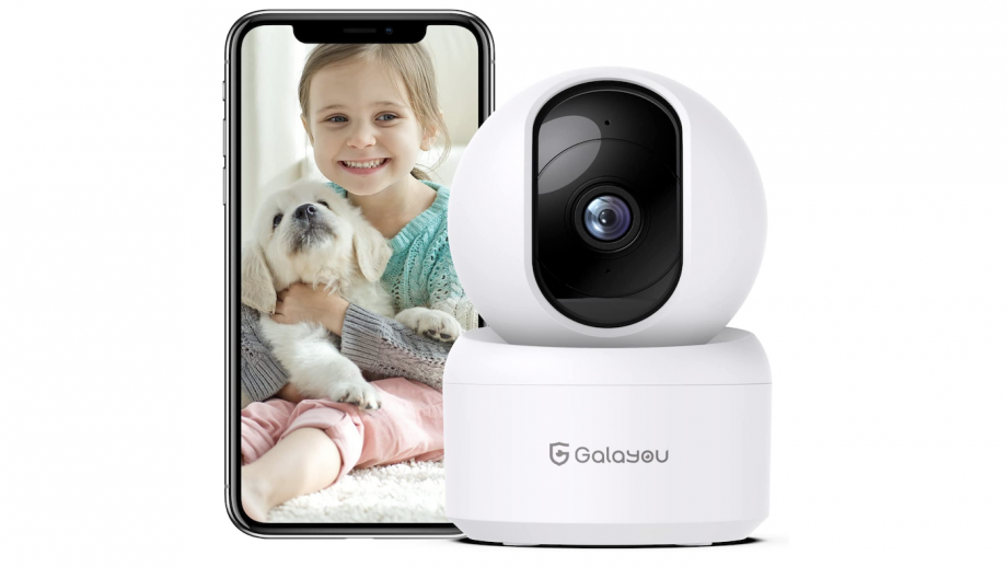 Best pet cameras to check on your pooch from a distance