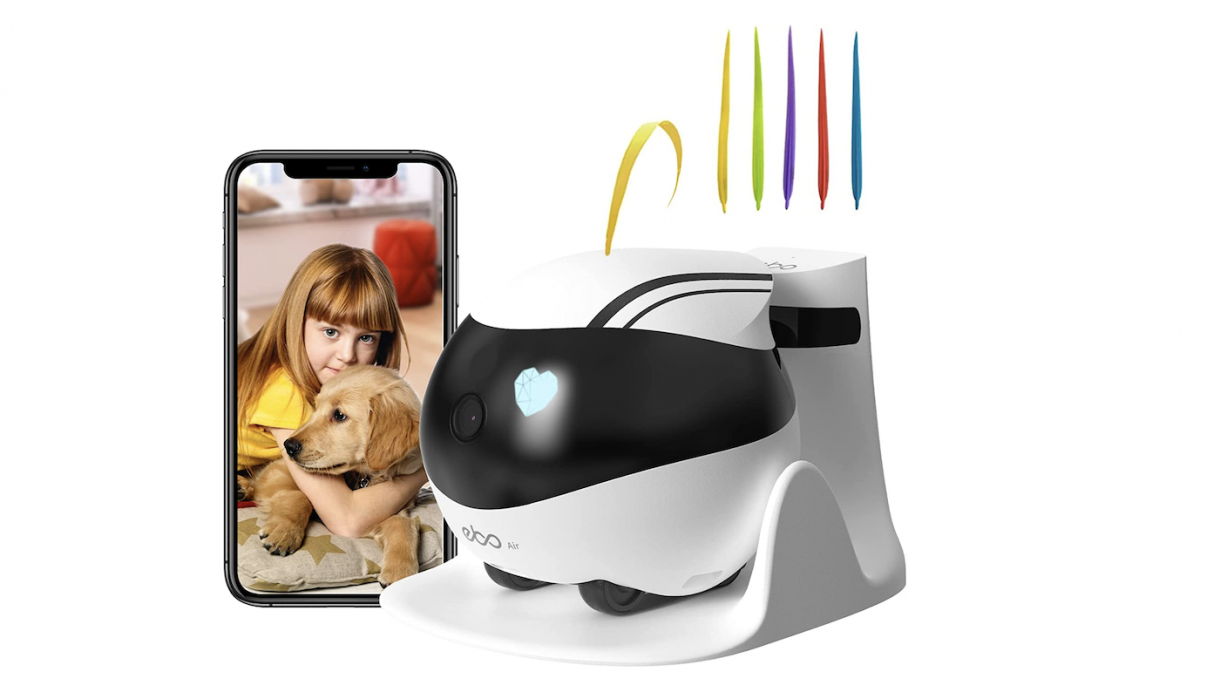 Best pet cameras to check on your pooch from a distance