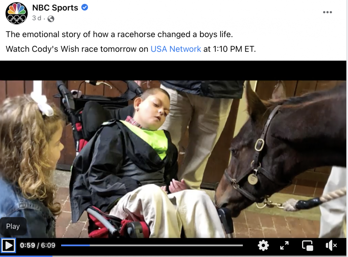 Cody’s Wish: The story of a Group One-winning racehorse and a boy