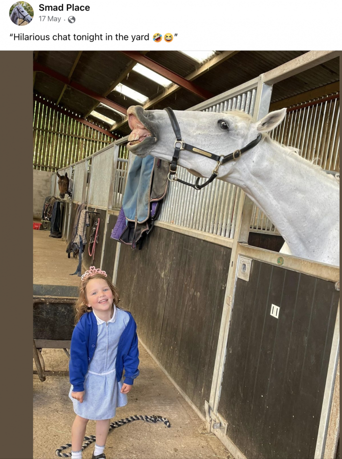 Smad Place: Find out what the wonderful grey racehorse is up to now