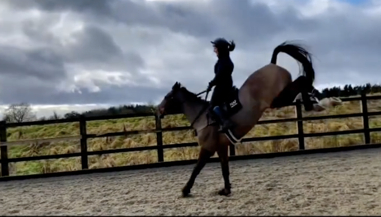 Laura Collett’s London 52 lets rip and 5 other great bits of horsey ...