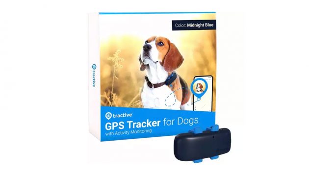Best GPS trackers for dogs to keep tabs on your pooch | Horse & Hound