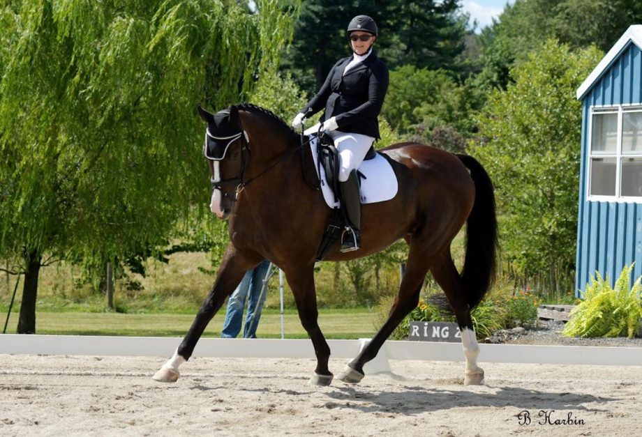 ‘I love this horse so much’: meet the 19.3hh dressage warmblood who may ...