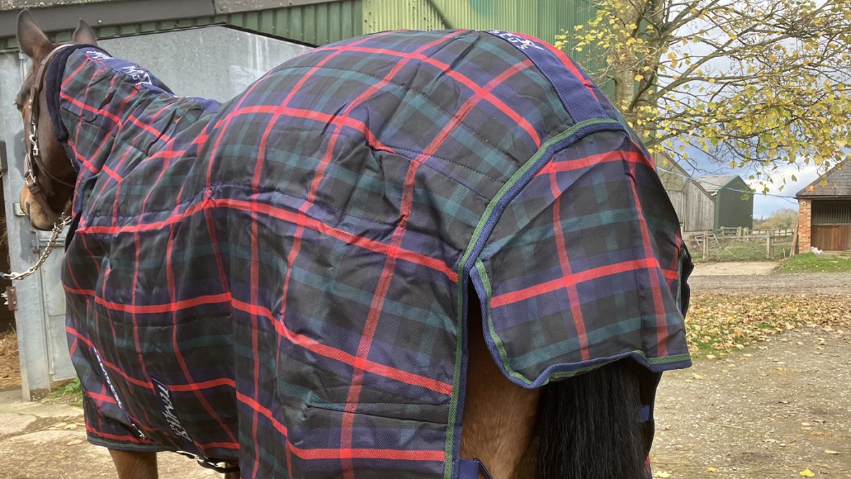 Shires Tempest Plus stable rug review | Horse & Hound