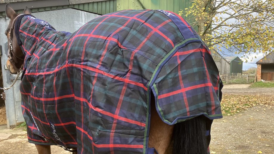 Shires Tempest Plus stable rug review | Horse & Hound