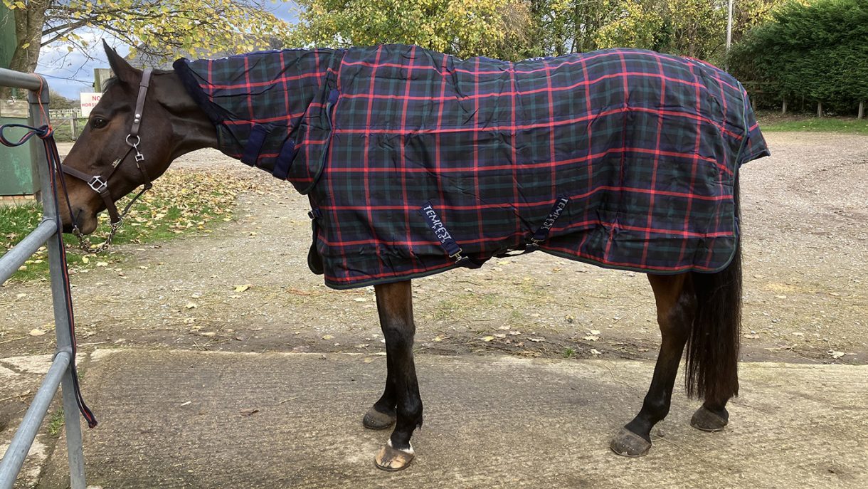 Shires Tempest Plus stable rug review | Horse & Hound
