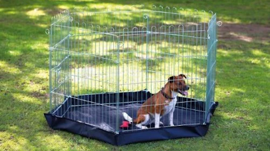 Best dog play pens for security at home and while travelling