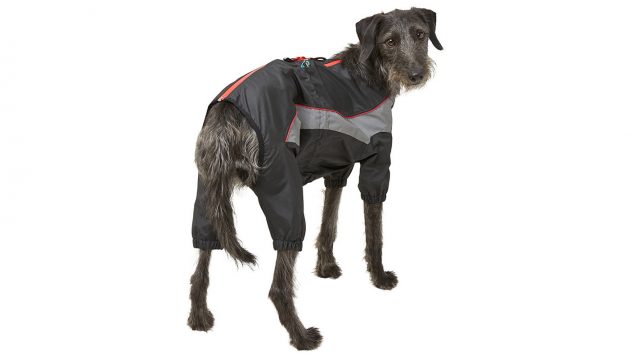 Best waterproof dog coats for warmth, dryness and style