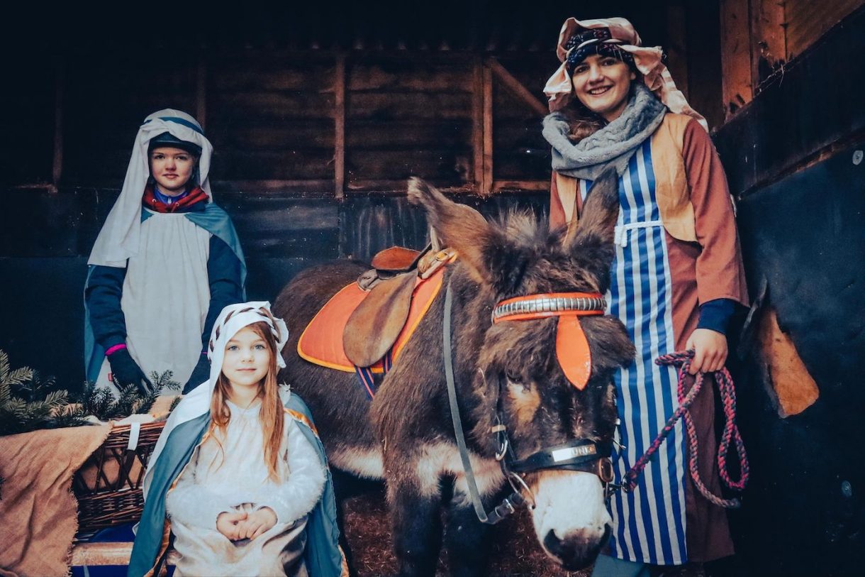 Rescue ponies star in Stable Lives nativity for families facing hardship