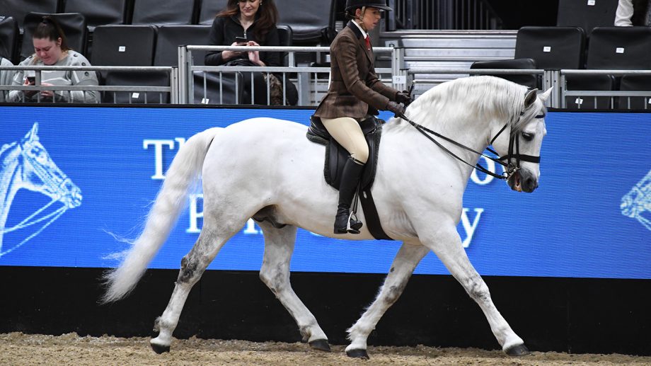2022 BSPS Heritage M&M supreme: best of breeds - Horse & Hound