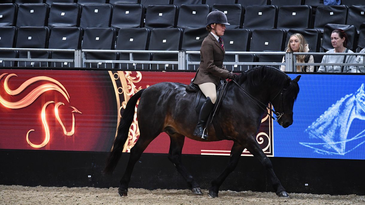 2022 BSPS Heritage M&M supreme: best of breeds - Horse & Hound