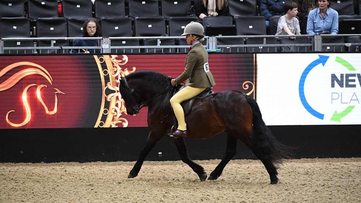 2022 BSPS Heritage M&M supreme: best of breeds - Horse & Hound