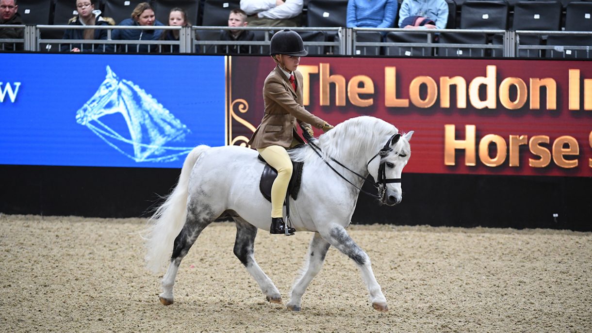 2022 BSPS Heritage M&M supreme: best of breeds - Horse & Hound