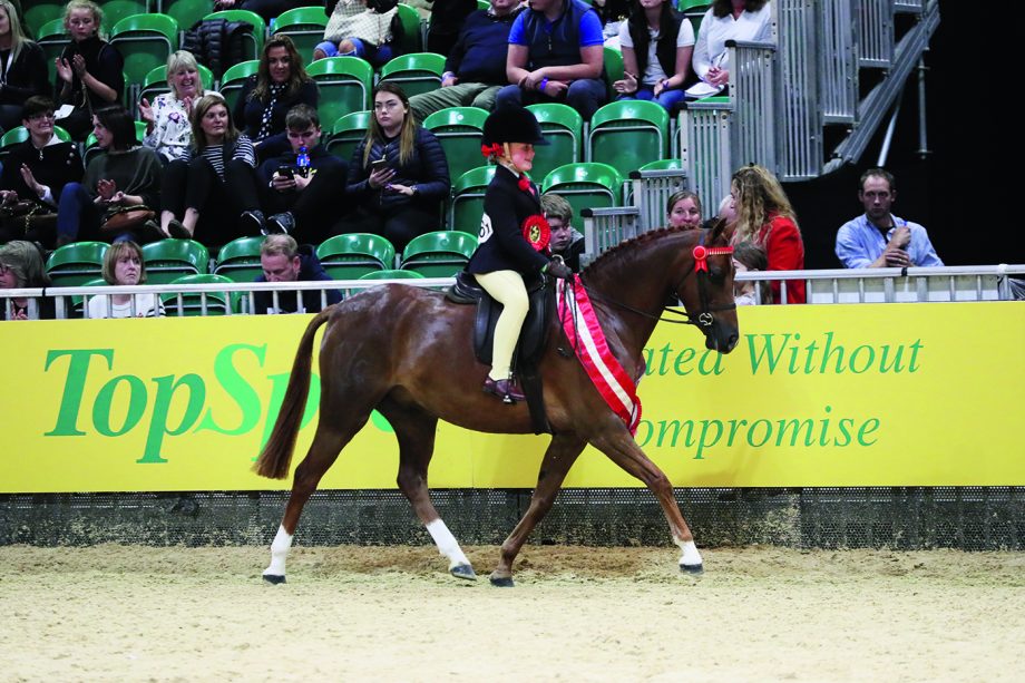 Meet HOYS winning show riders Harriett and Georgina Storey