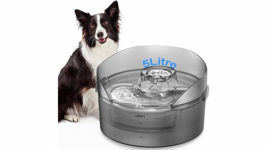 Best pet water fountains: H2O on tap for healthy hydration