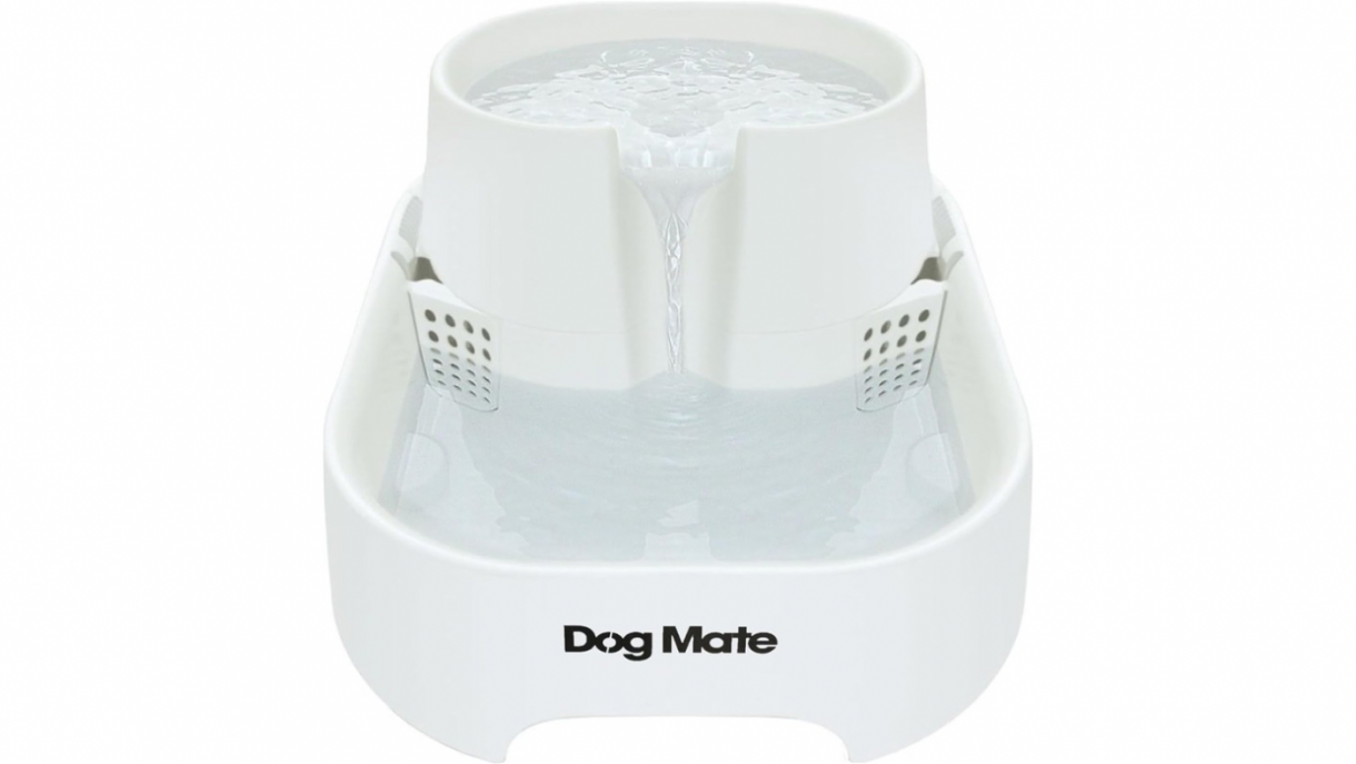 Best pet water fountains: H2O on tap for healthy hydration