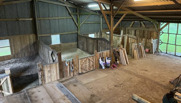 Rider who could not afford her dream stables built them – with ...