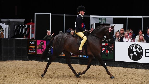 Meet HOYS winning show riders Harriett and Georgina Storey