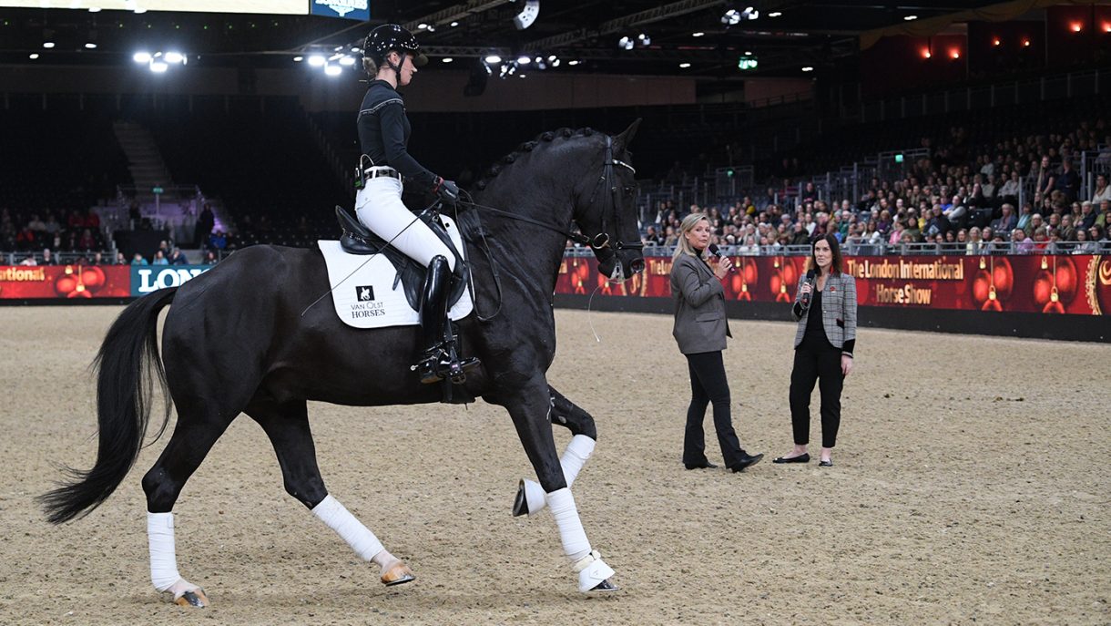 Top dressage stallion Negro, sire to Valegro, dies aged 29