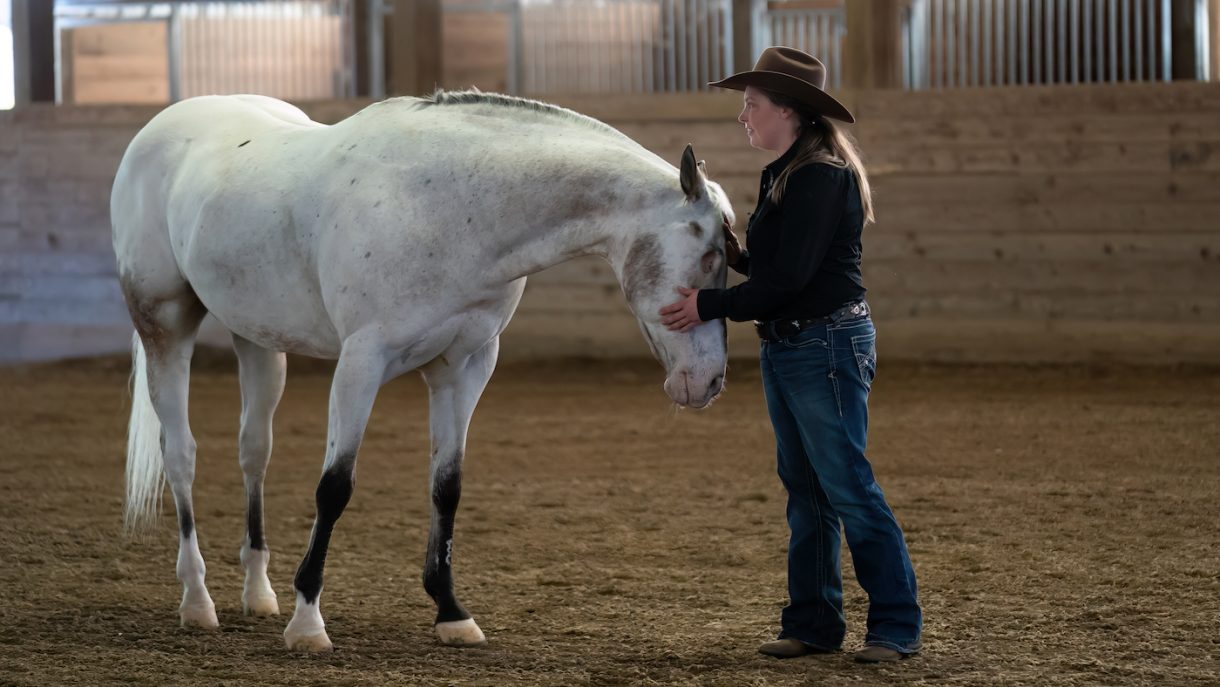 ‘He lost his eyes but not his spirit’: blind horse takes three world ...