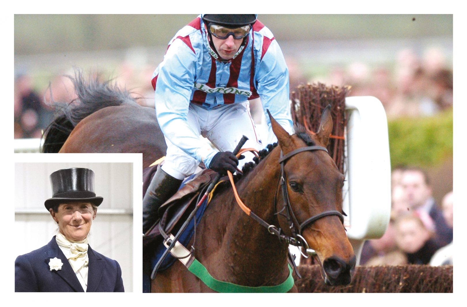 Jayne Ross: the horse she would love to have ridden...