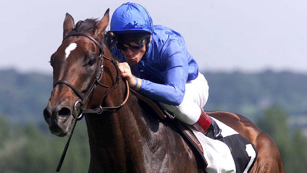 ‘He put us on the map’: top sire Kayf Tara dies aged 28