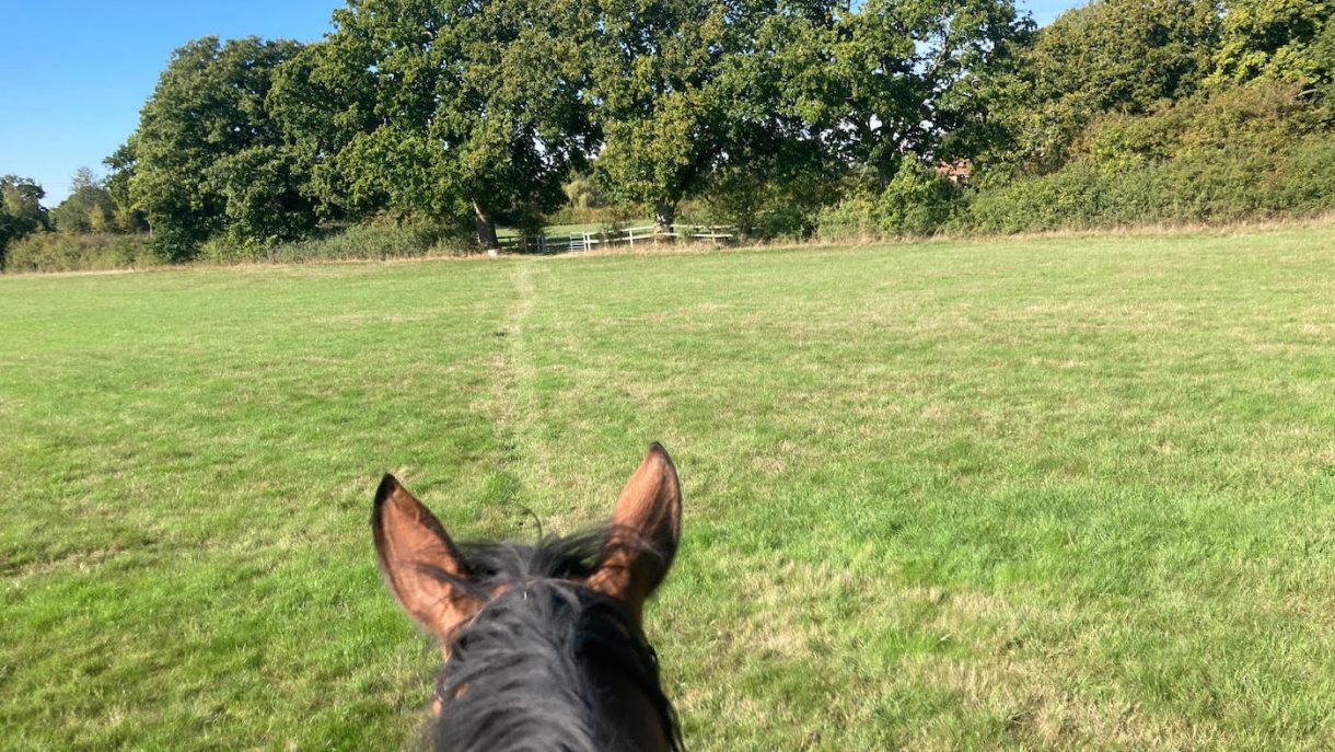 Hacking horses: what does it mean and why you do it | Horse & Hound