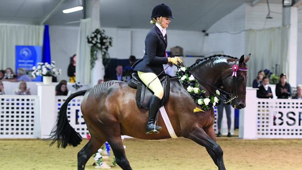 Emma Rees and Holmestones Tailor Made - Horse & Hound