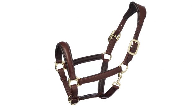 Christmas gifts for horses that will go down a treat | Horse & Hound