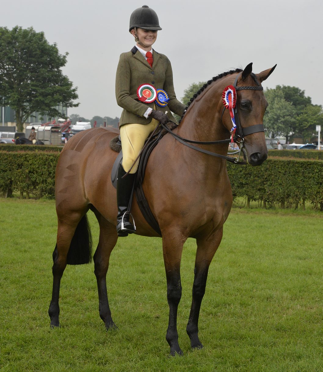 Meet HOYS-winning show rider Charlotte Elliott-Grooby - Horse & Hound
