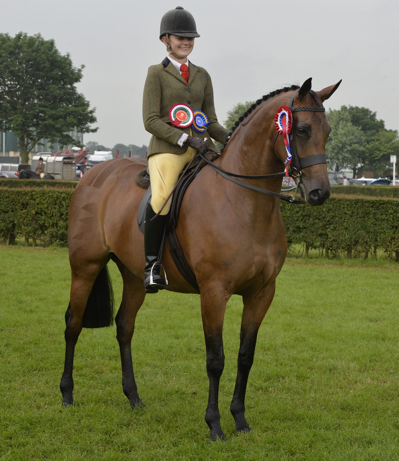 Meet HOYS-winning show rider Charlotte Elliott-Grooby - Horse & Hound