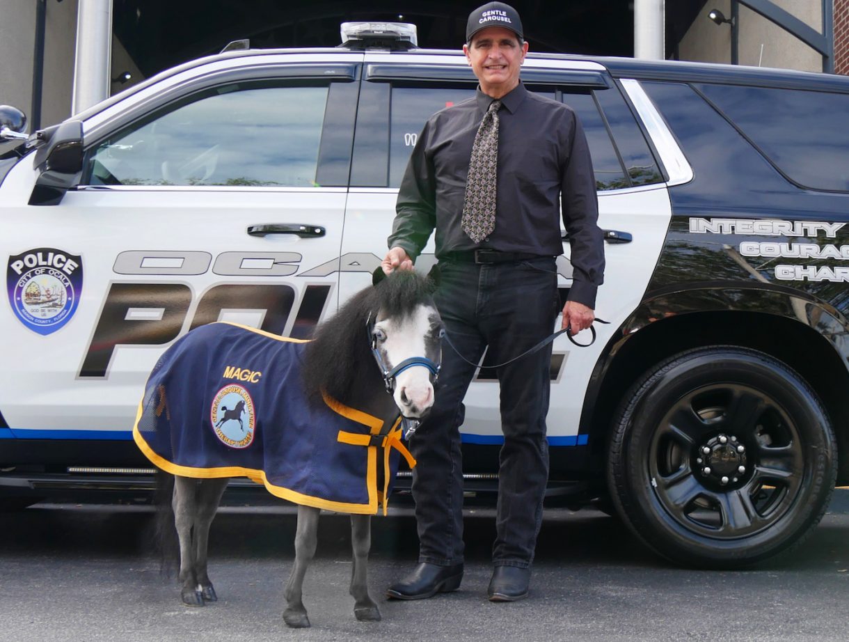 ‘I stay because of my love of horses’: mounted police officer clocks up ...