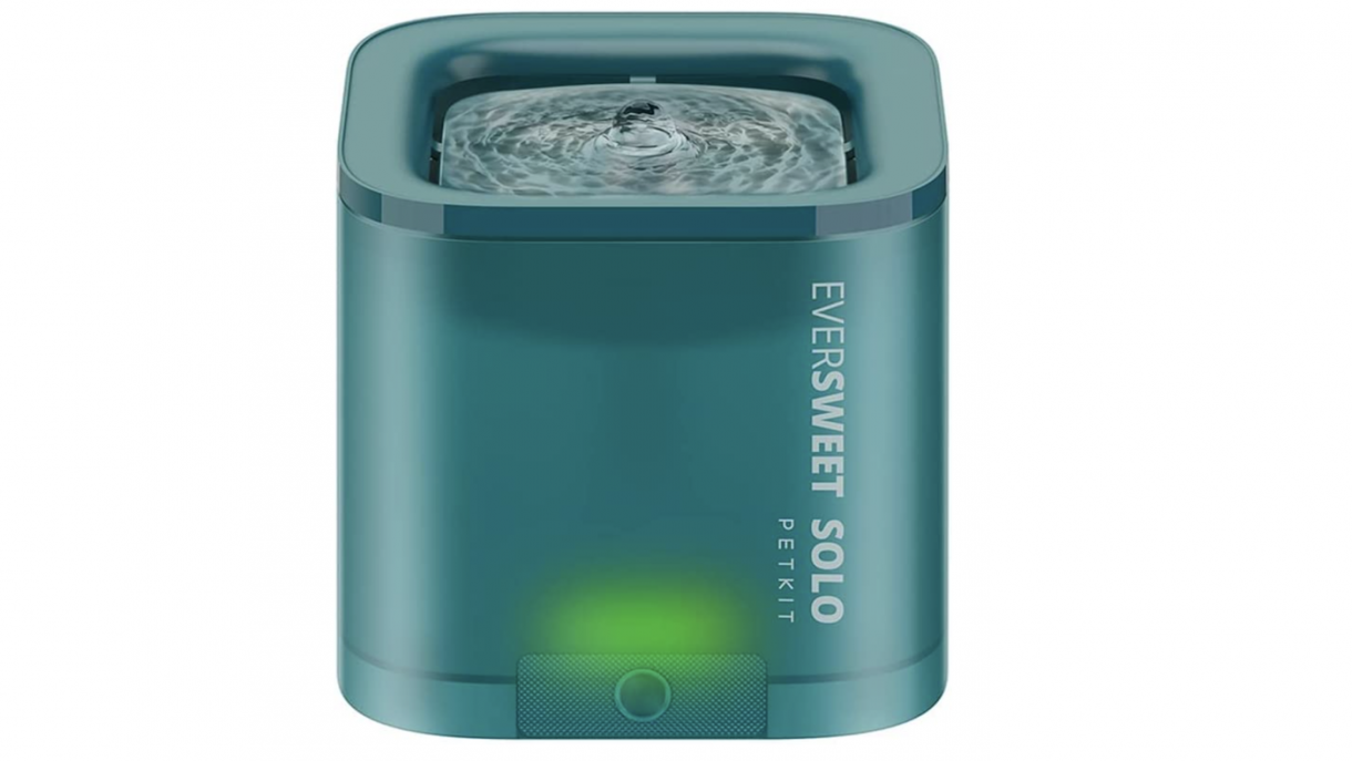 Best pet water fountains: H2O on tap for healthy hydration