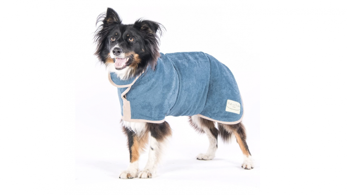 Best drying dog coats for wet pooches to dry off in style