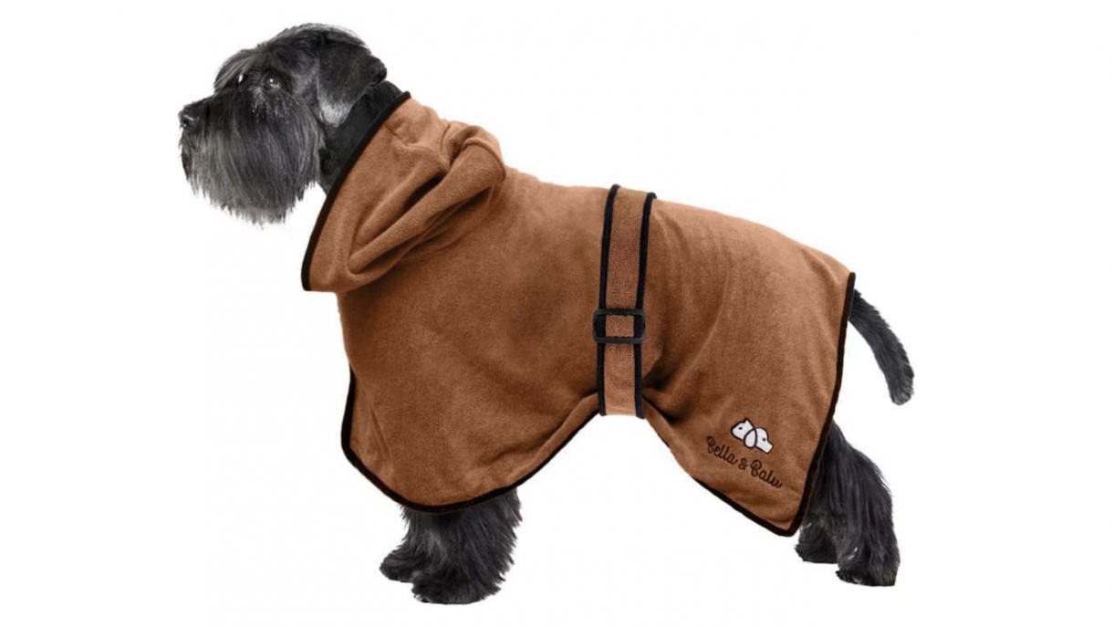 Best drying dog coats for wet pooches to dry off in style
