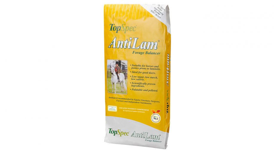 Feeds for horses prone to laminitis | Horse & Hound