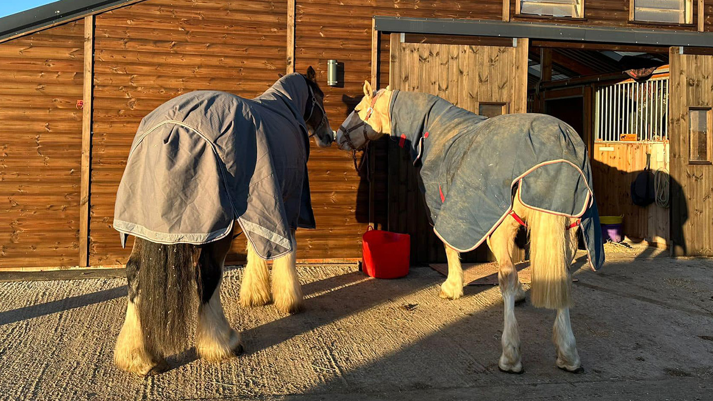 Hovis’ Friday diary: the grass is like glass and my snot is an icicle ...