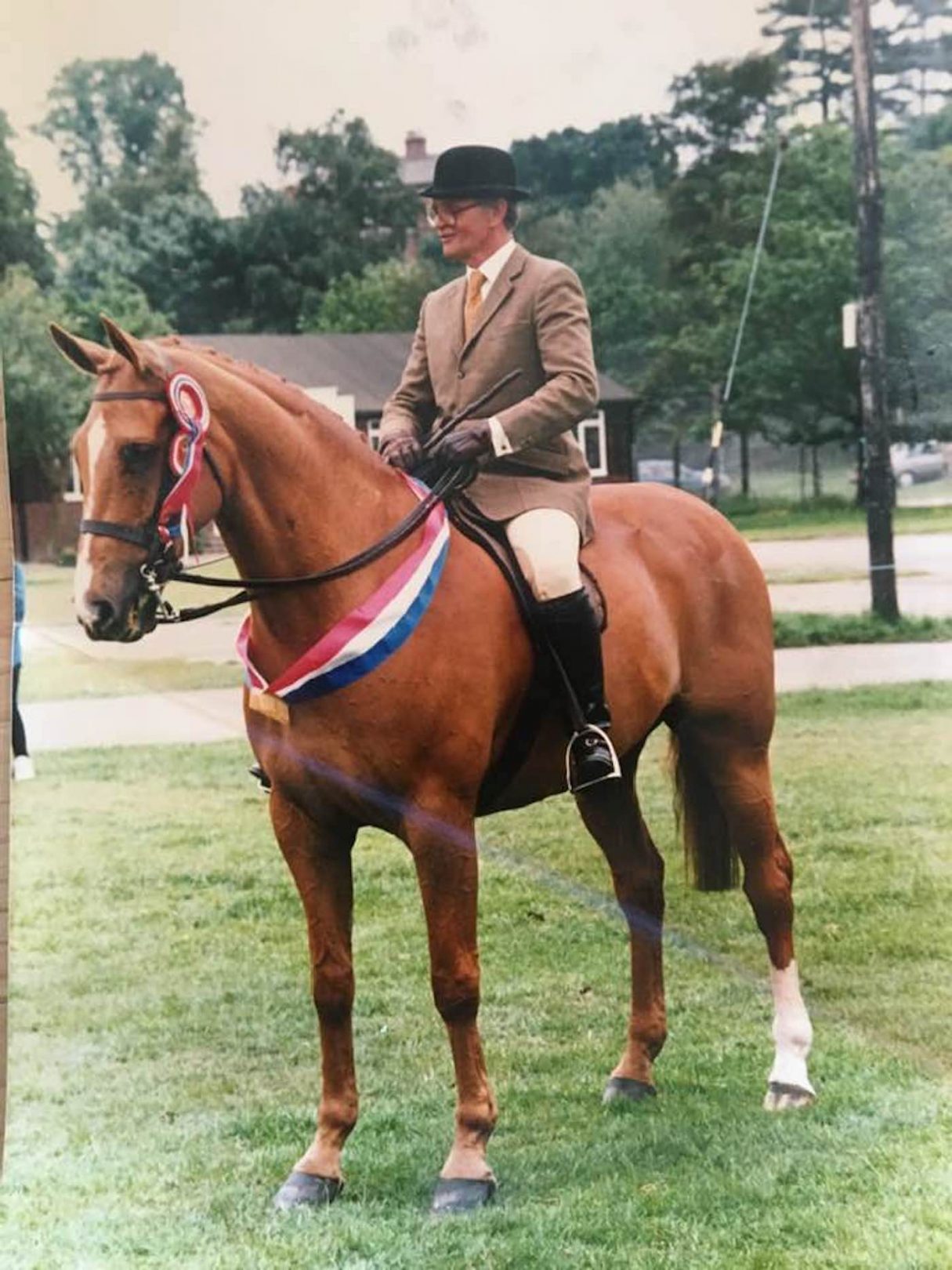 Farewell to judge and horseman Norman Swallows - Horse & Hound